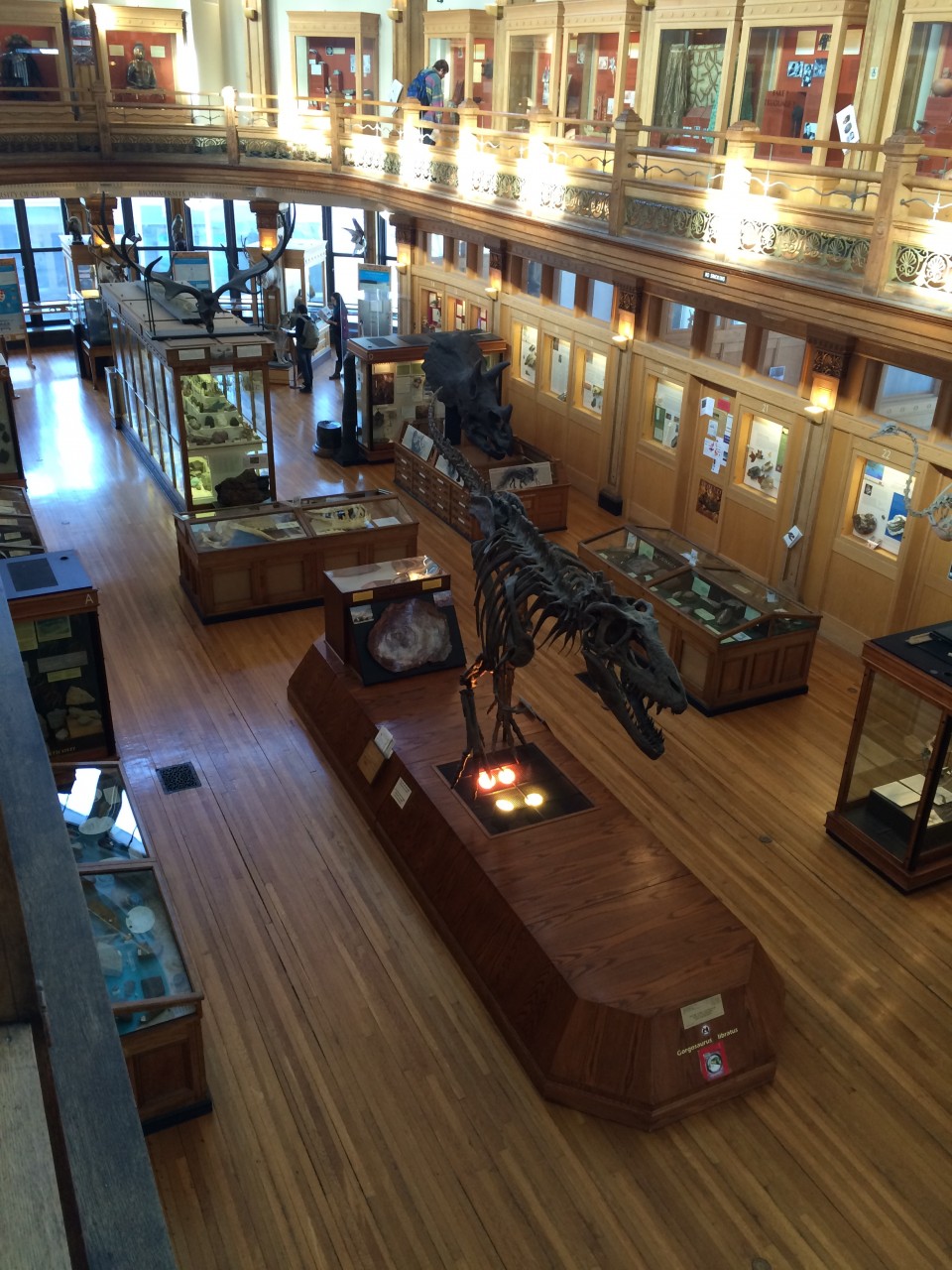 Impressive Redpath Museum Collection - Champlain Global