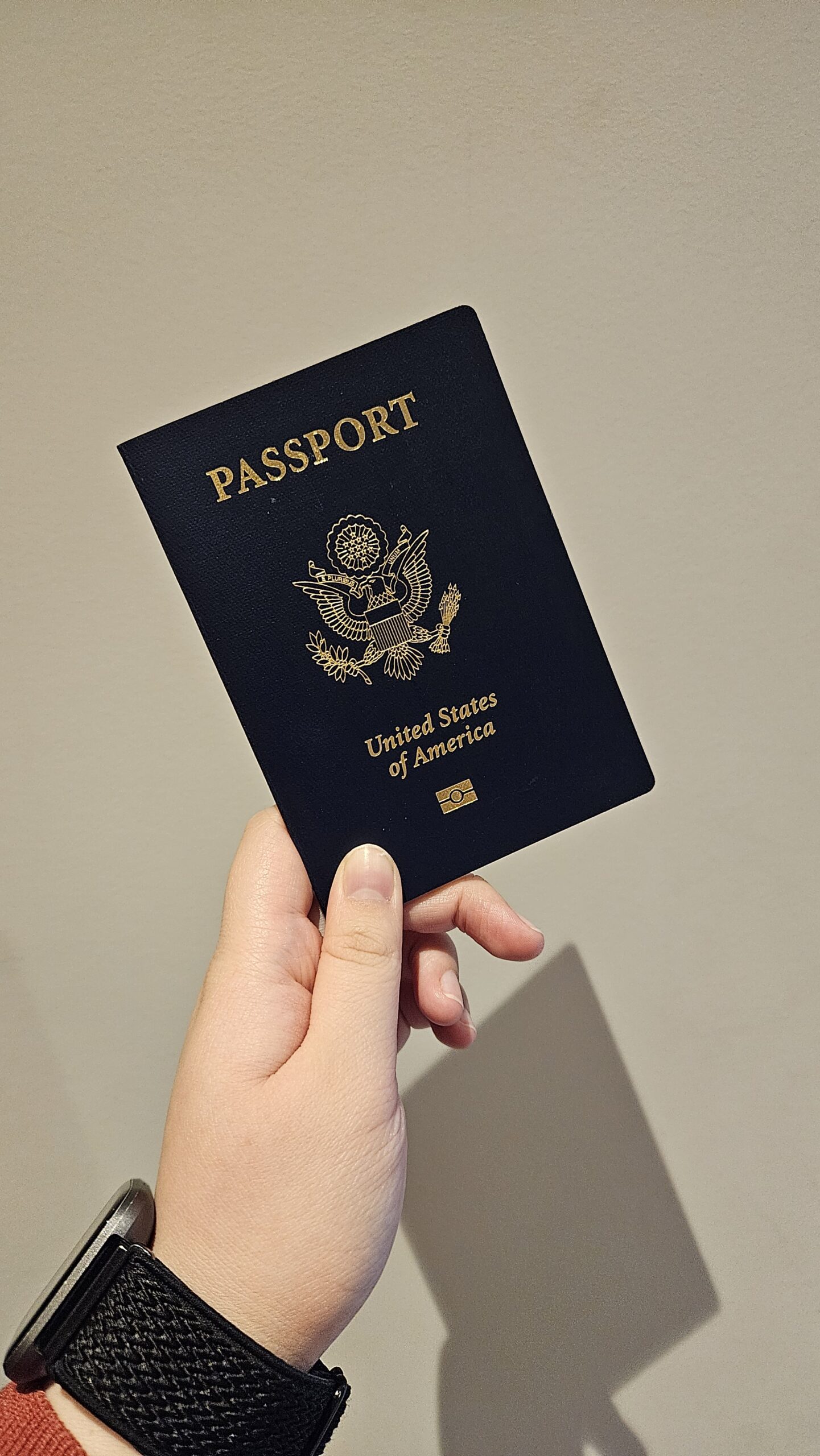 Getting Through Immigration - Champlain Global